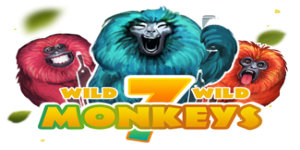 7 Monkeys – bigwinnerpro