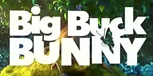 Big Buck Bunny – bigwinnerpro