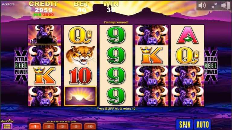 About – bigwinnerpro